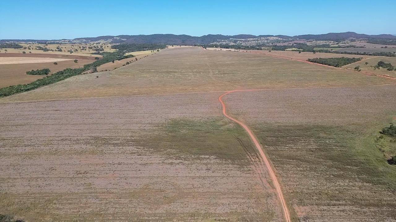 Fazenda 300 Hectares/ 62 Alqueires. - 427