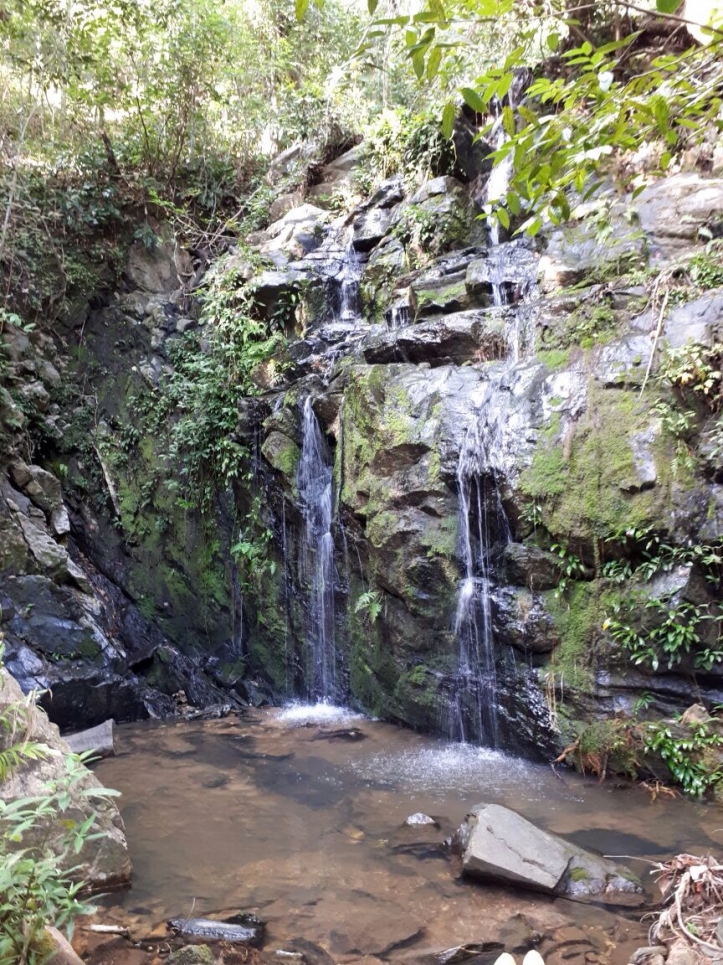 FAZENDA BONOPOLIS - 57